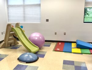 Fun Ways to Use an Exercise Ball - Milestone Therapy